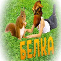 belka_movement — DonatePay